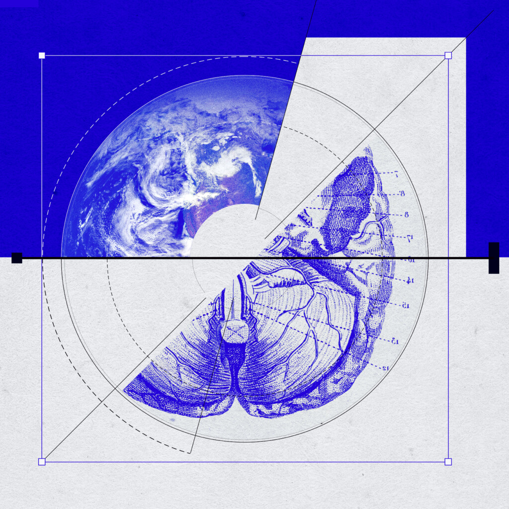 Internacionalització del dret humà al medi ambient net, saludable i ...